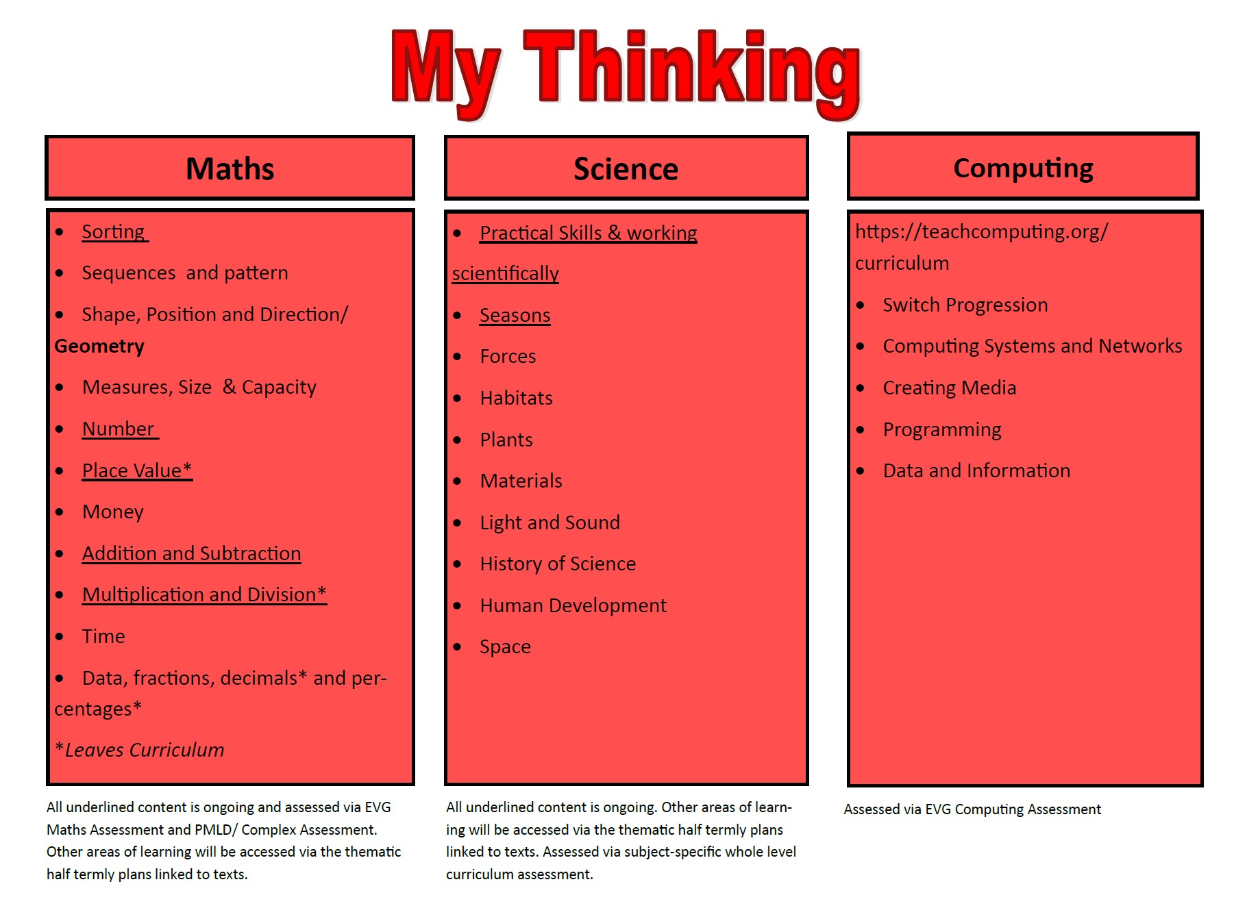 My Thinking - Evergreen School